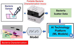 Pathogenic bacteria characterization through portable optical scatter ...