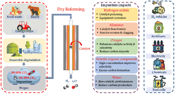 Challenges in biogas valorization, effect of impurities on dry ...