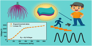 A biowaste material-based low-cost environment-friendly triboelectric ...