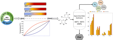 Optimising supercritical water gasification of biomass: exploring ...