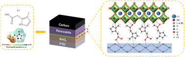 Dual-passivation buried interface molecular bridges for efficient carbon-based CsPbIxBr3−x ...