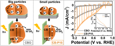 Promoting photogenerated charge separation and transfer in a CuBi2O4 photocathode for improved ...