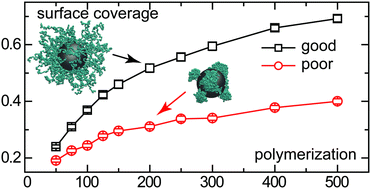 How to estimate the surface coverage of polymer grafted planar ...