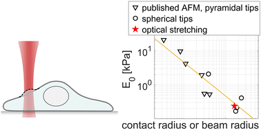 Power-law rheology of adherent cells by local optical stretching and ...