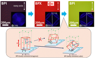 Electrostriction-based orientation control of blue phase I liquid ...