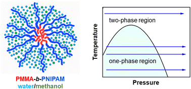 Effect of pressure on the micellar structure and aggregation behavior ...