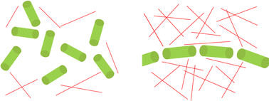 Brownian dynamics simulation of the diffusion of rod-like nanoparticles ...