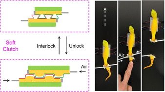 Surface buckling enabled soft clutch - Soft Matter (RSC Publishing)