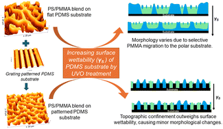 Synergistic influence of substrate wettability and topography on ...