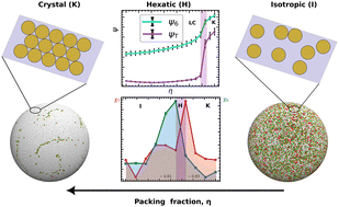 Melting of rods on a sphere via an intermediate hexatic phase - Soft ...