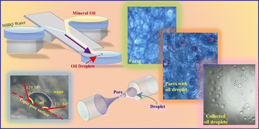 Pore-scale immiscible interfacial transport facilitates low-cost ...