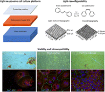 Stabilizing light-responsive azobenzene films in an aqueous environment ...