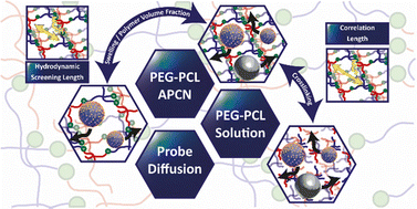 Diffusive probe penetration for characterization of diffusion-governing ...