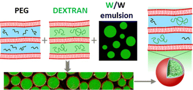 Emulsification of lyotropic lamellar phases: new formulation routes for ...