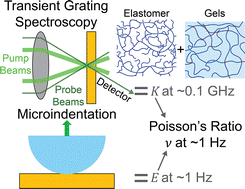 Transient grating spectroscopy nondestructively characterizes the ...