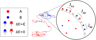 Leveraging inhomogeneous binding of incompatible constituents for ...