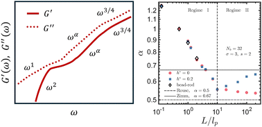 Linear viscoelasticity of semiflexible polymers with hydrodynamic ...