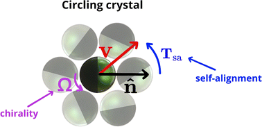 Circling crystals in chiral active matter with self-alignment - Soft ...