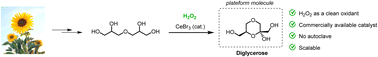 Oxidation of diglycerol to diglycerose using hydrogen peroxide as a ...