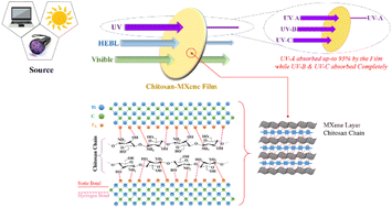 Transparent and flexible MXene-chitosan nanocomposite film for ...
