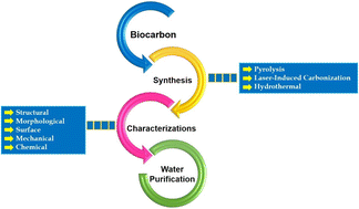 Biocarbon for sustainable water purification - RSC Sustainability (RSC ...