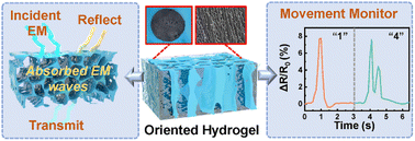 Multifunctional dual-crosslinked Ti3C2Tx MXene-based hydrogels for ...