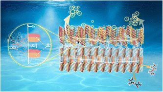 Band energy engineering: precise regulation of P-band centers to ...
