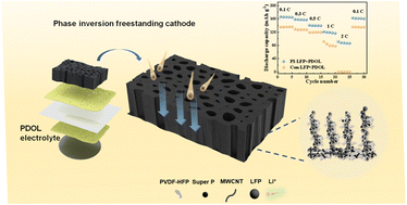 Freestanding cathodes with vertically arranged microchannels via phase ...