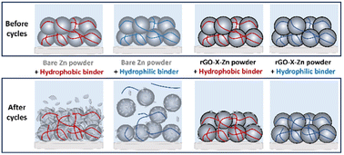 Dual-protection strategy for superior stability and performance of zinc ...