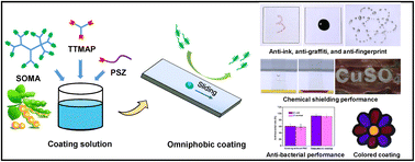 A novel biopolymer-based omniphobic coating system functionalized with ...