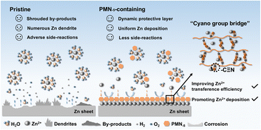 “Cyano group bridge”-based enabling high zinc-ion transference number ...