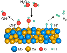 Towards robust hydrogen evolution electrocatalysts in immiscible copper ...