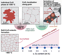 The effect of a CuO sintering additive on the sinterability of Ba-based ...
