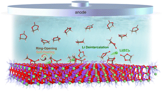 Microscopic insights into the ring-opening reaction of ethylene ...
