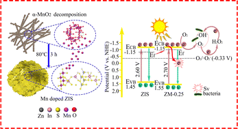 Improvement of photocatalytic antibacterial action of Mn, Sv-co-doped ...