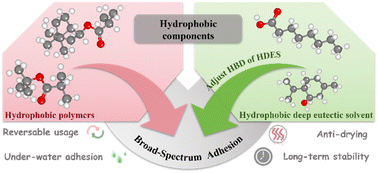 Hydrophobic deep eutectic solvent-based hydrophobic polymer adhesive ...