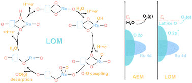 Reversible lattice oxygen participation in Ru1−xO2−x for superior ...