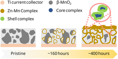 Spatial and chemical heterogeneity in aqueous Zn/MnO2 batteries: role of Zn and Mn containing ...