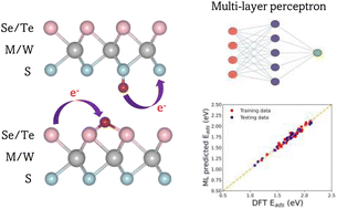 Hydrogen adsorption energy trends in Mo/WXY (X, Y = S, Se, Te) regular ...