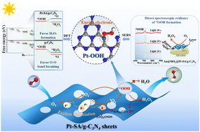 Enhanced photocatalytic H2O2 yield by single-atom Pt decorated carbon ...