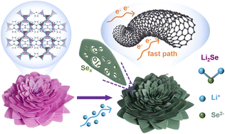 A ZIF-L derived carbon flower with in situ grown CNTs accelerates the ...