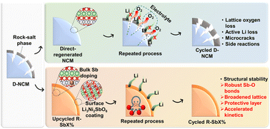 Upcycling of degraded NCM cathode materials for prolonged high-rate ...