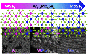 2M phase stability of WSe2–MoSe2 alloy nanosheets via a colloidal ...