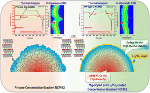 Unlocking the synergistic effects of gradient engineering, Mg doping, and in situ Li conductive ...