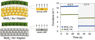 Interactions at heterointerfaces influence actuation in wet cast 1T ...