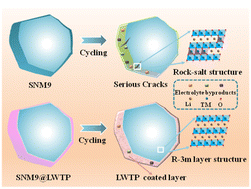 Synergistic bulk–interface stabilization of single-crystal cobalt-free ...