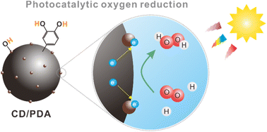 Efficient photocatalytic H2O2 generation utilizing surface functional ...