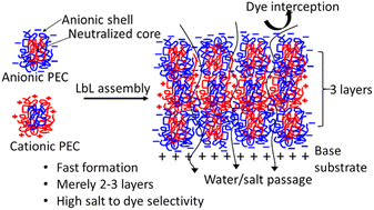 Rapid fabrication of selective barriers through layer-by-layer self-assembly of non ...