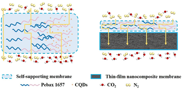 Mixed matrix membranes based on carbon quantum dots with enhanced CO2 ...