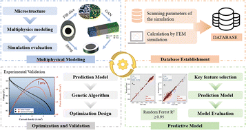 Microstructure-informed performance boost in solid oxide fuel cells through multiphysical ...